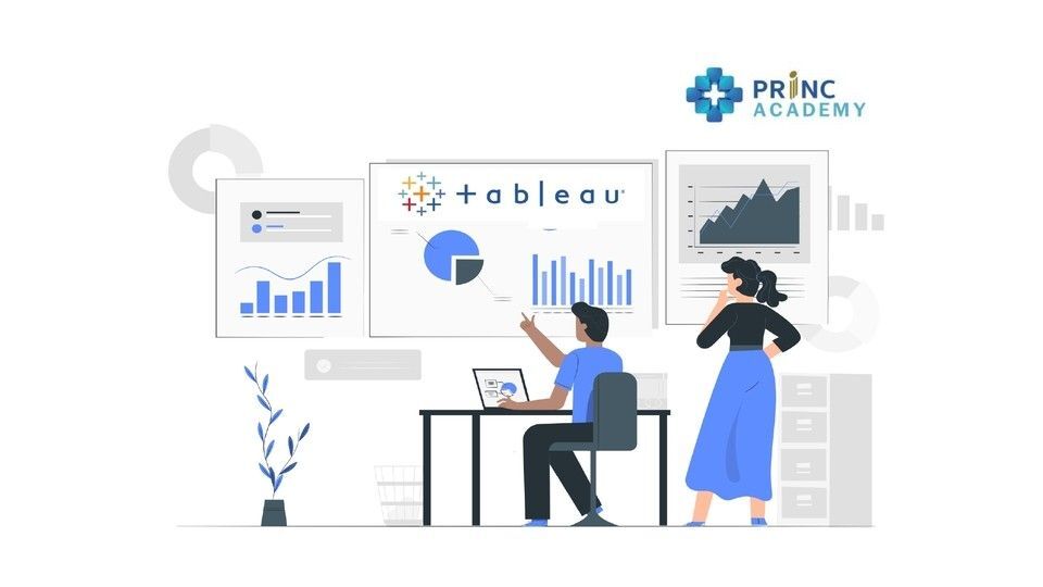 Tableau - PRINC ACADEMY